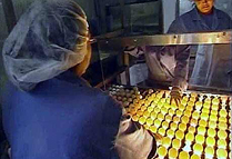 Risk Assessment | Secure Egg Supply Plan