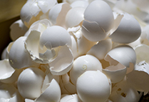 Risk Assessment | Secure Egg Supply Plan